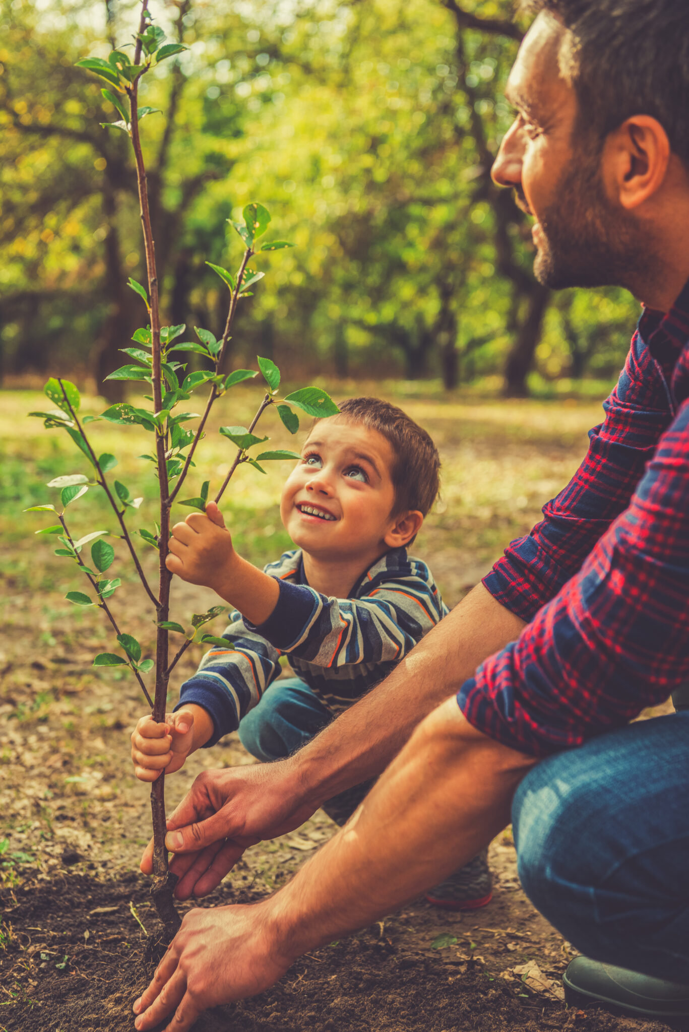 About Us – Logan Bank & Trust